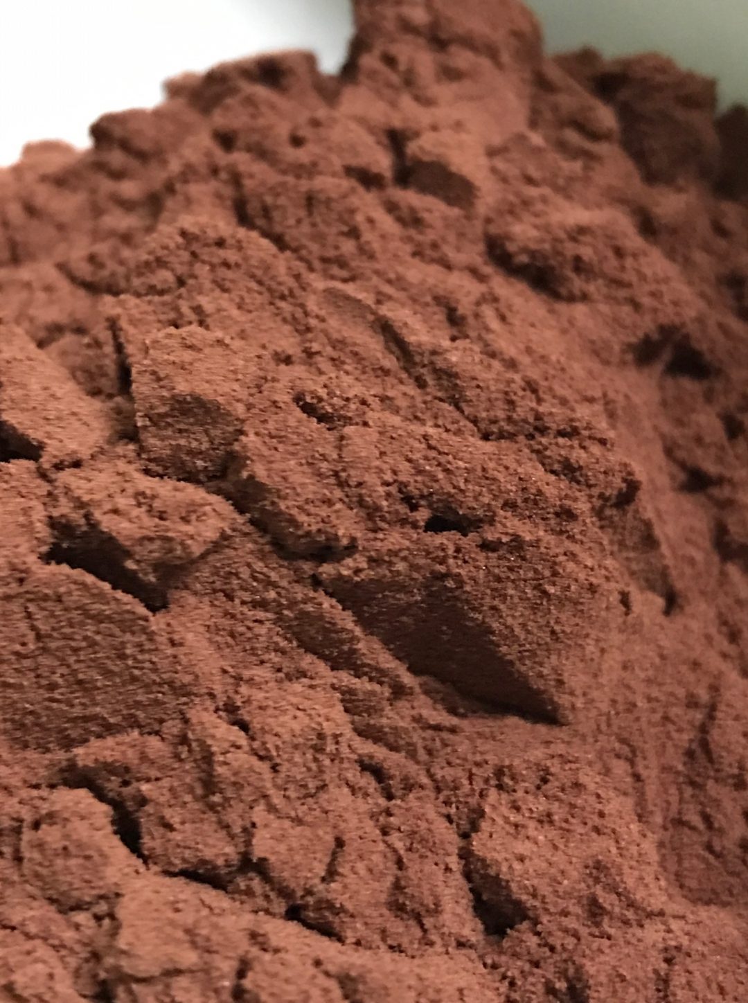 Maritime Pine Bark Extract Powder | Customised Health